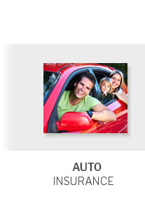 Full Frame Insurance 👪 Nov 2025