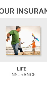 Full Frame Insurance 👪 Nov 2025